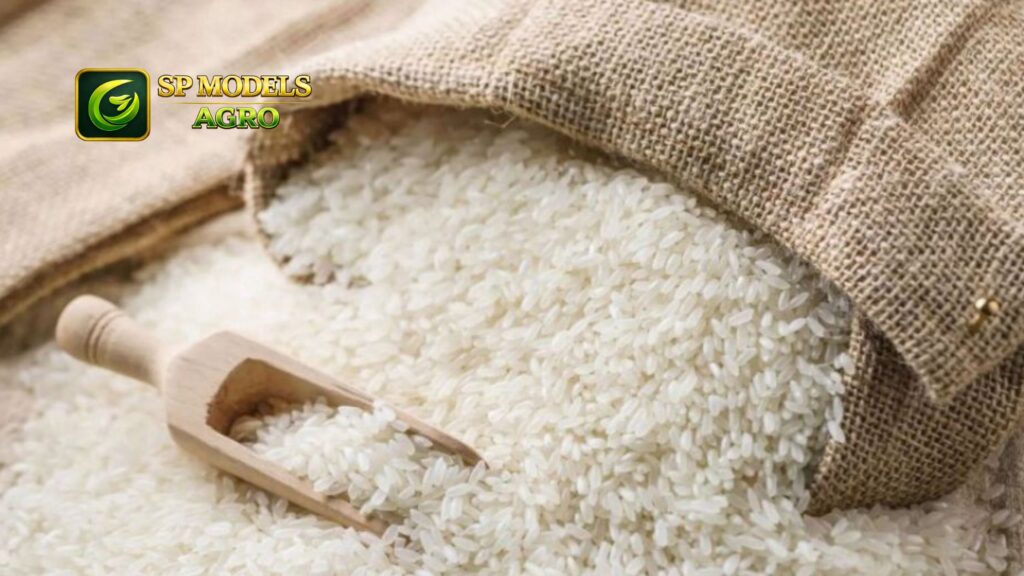 Bulk Rice Exporter Malaysia & Asia | White & Parboiled Rice Wholesale ...