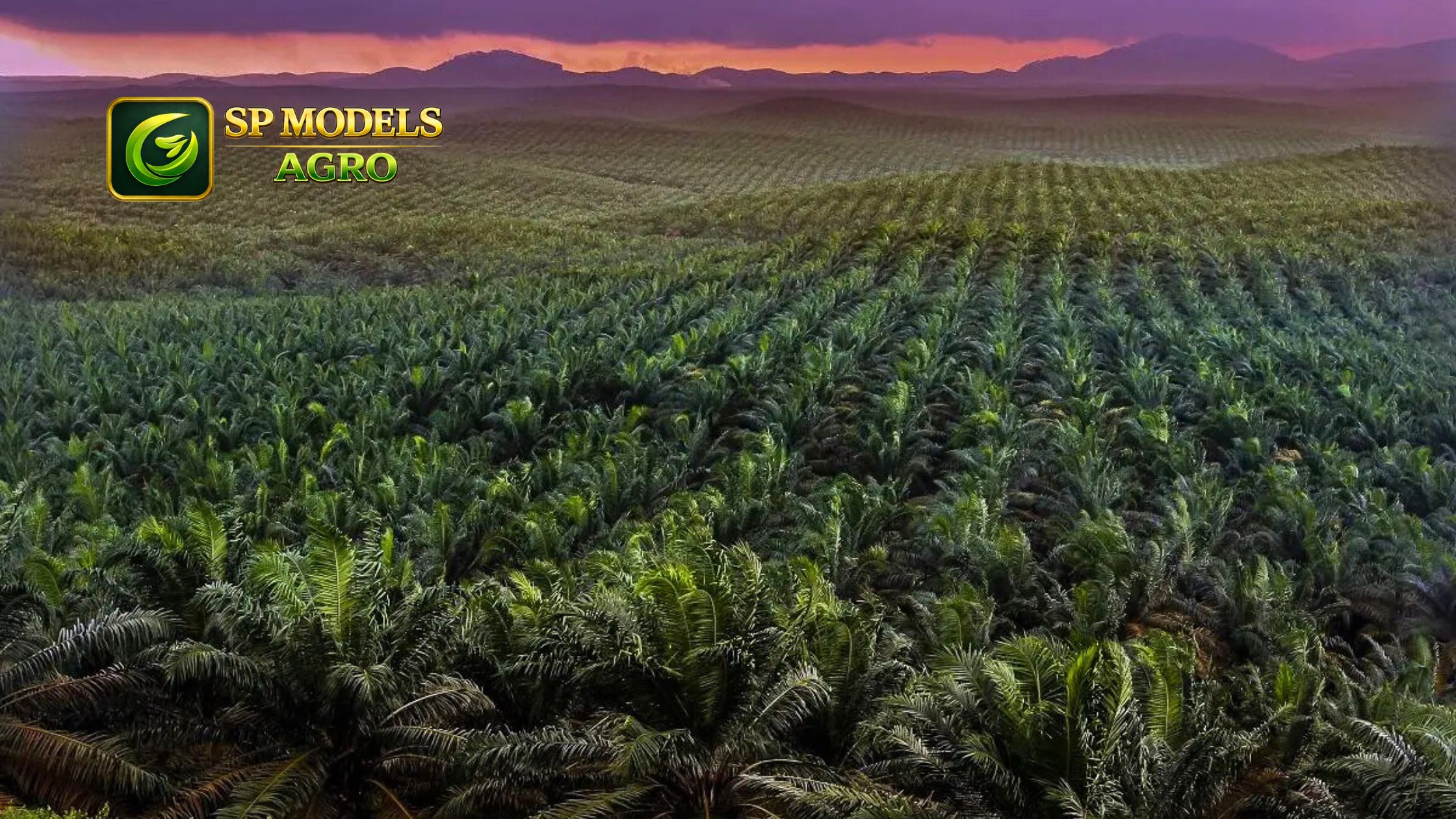 Bulk Agricultural Supplier & Agro Commodity Export Investment Platform ...