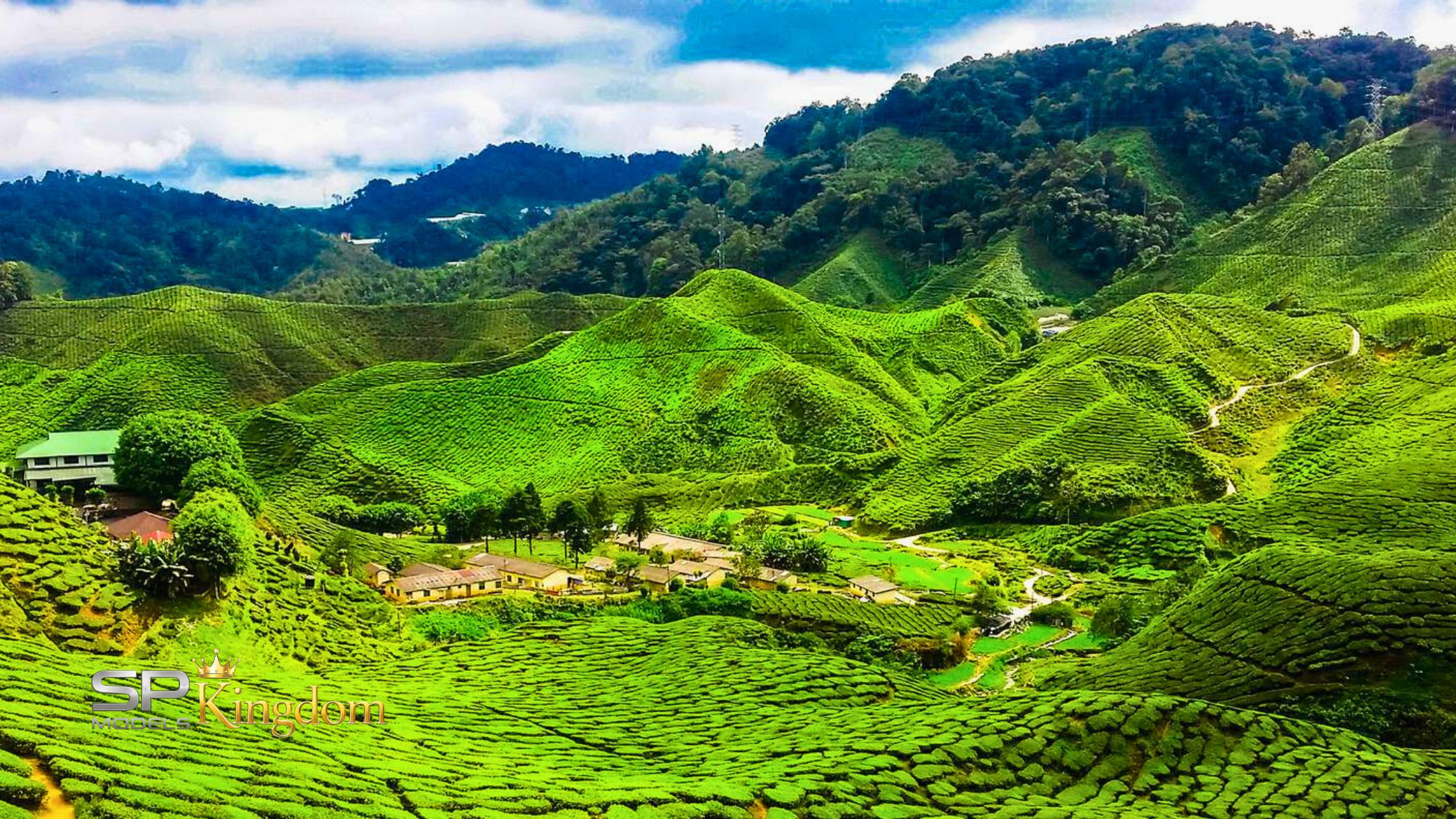 Malaysia Agriculture & Plantation Investment Platform for Global ...