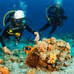 Unforgettable 3D2N Tioman Island Tropical Escape – Seamless Travel from ...